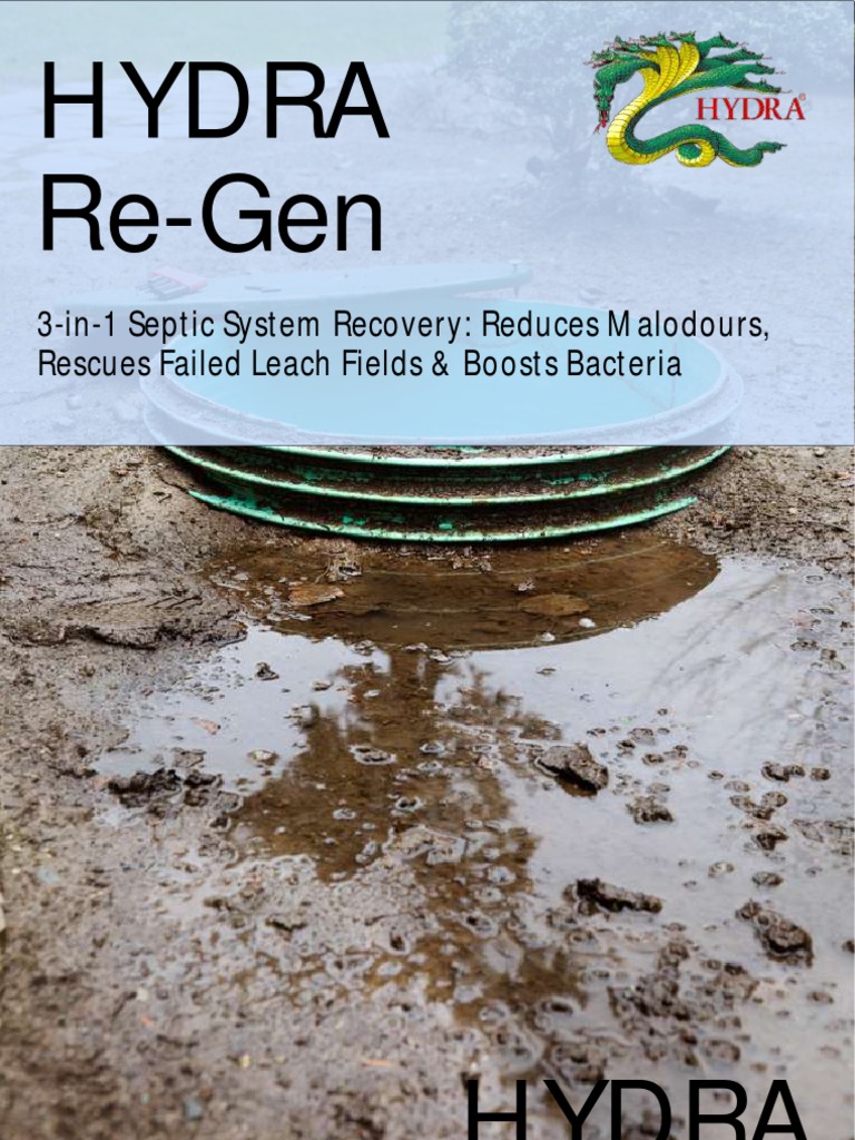 Septic System Recovery Guide | PDF | Septic Tank | Anaerobic Digestion