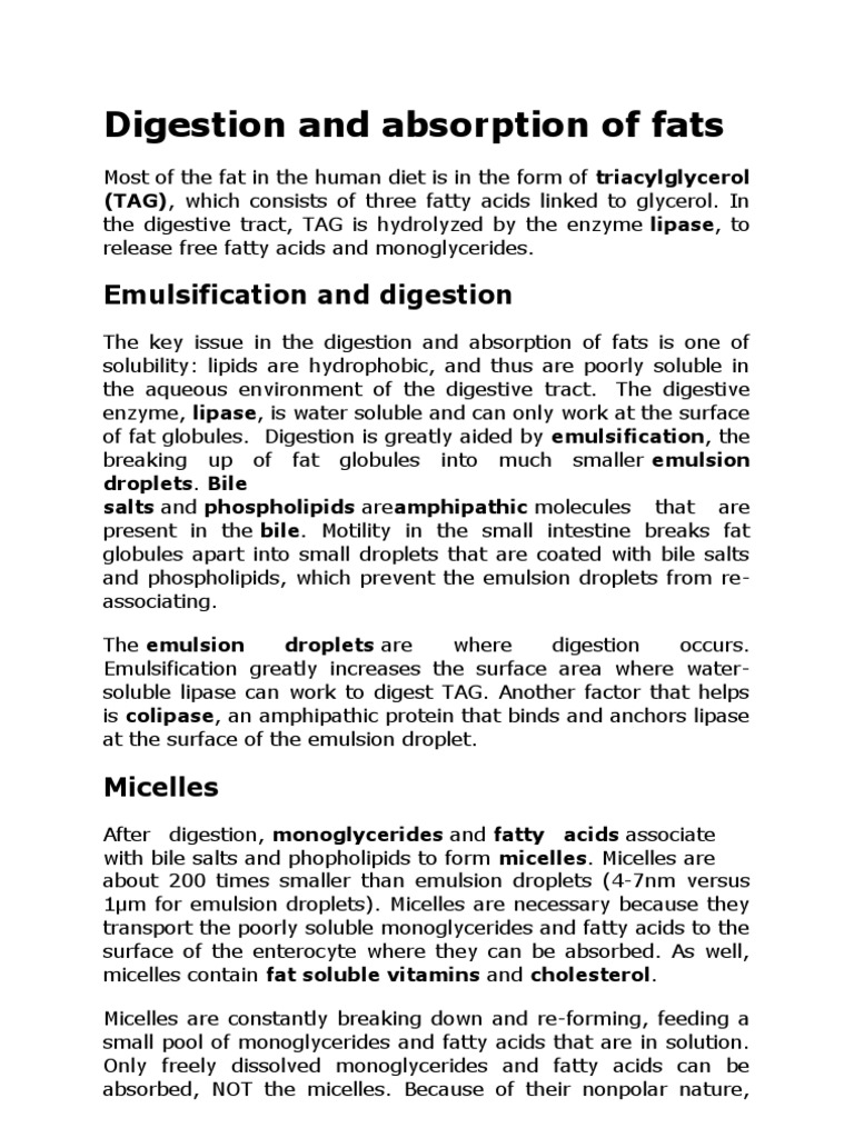 The Multi-Step Process of Fat Digestion and Absorption: From ...