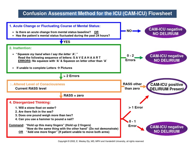 CAM ICU Flowsheet | PDF