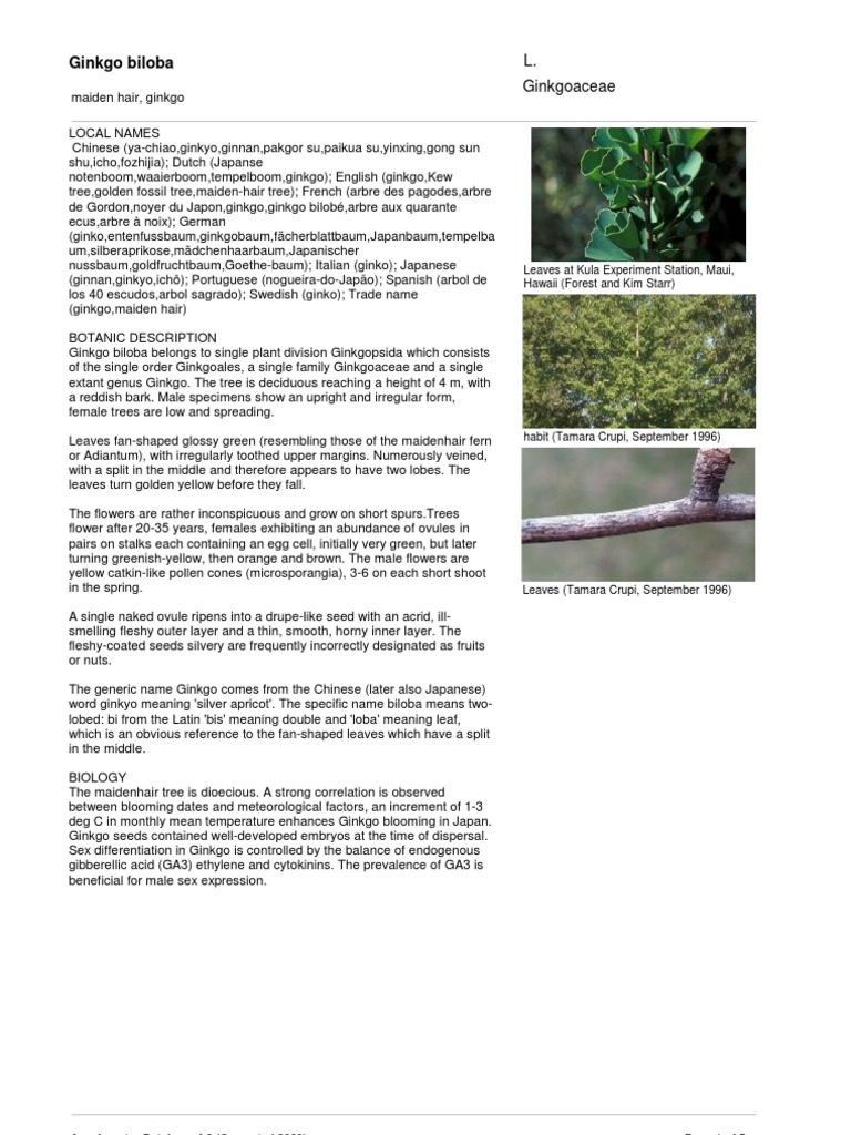 Ginkgo Biloba | PDF | Trees | Seed