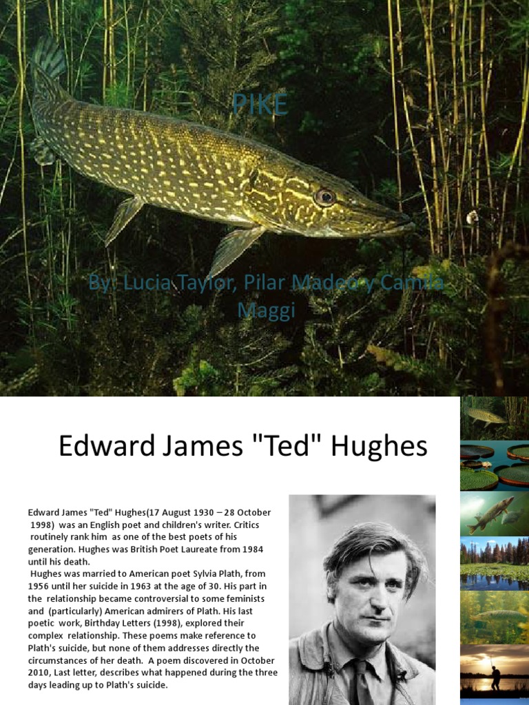 Pike | Download Free PDF | Poetry