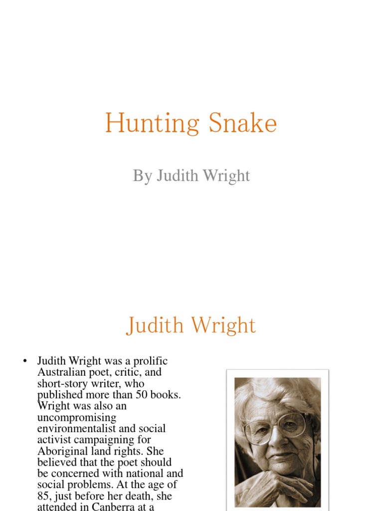 Hunting Snake | PDF