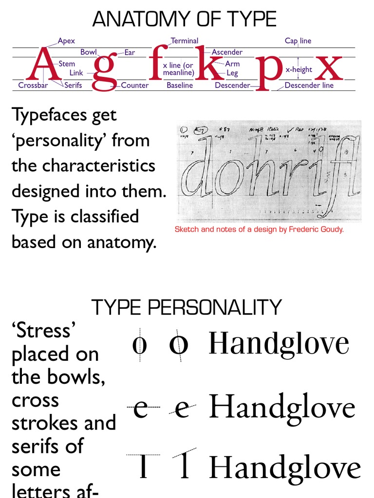 Anatomy of Type | PDF | Serif | Sans Serif