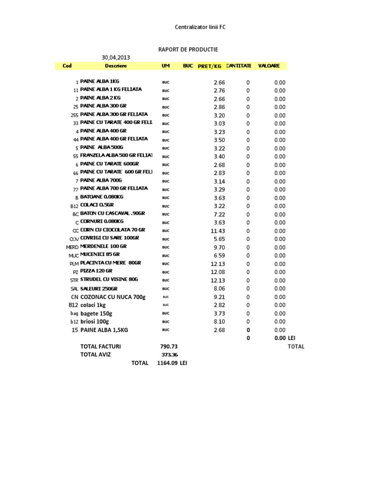 Raport de Productie Model
