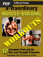 UltimatePower DensityWorkout | PDF | Physical Exercise | Muscle
