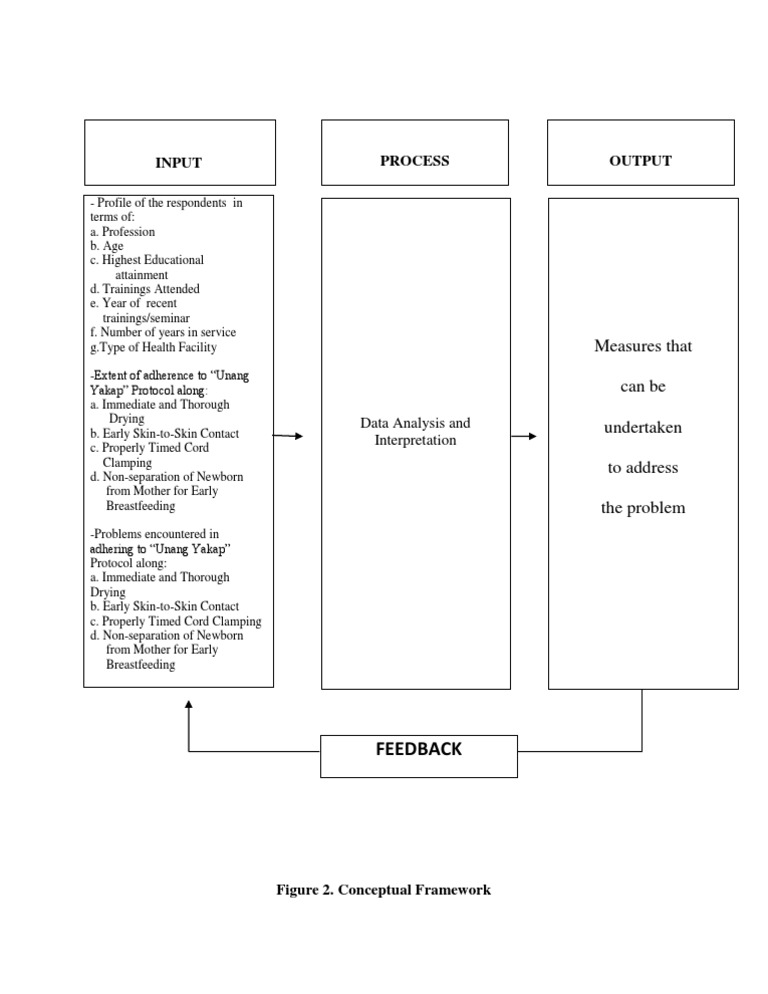 Conceptual Framework | PDF