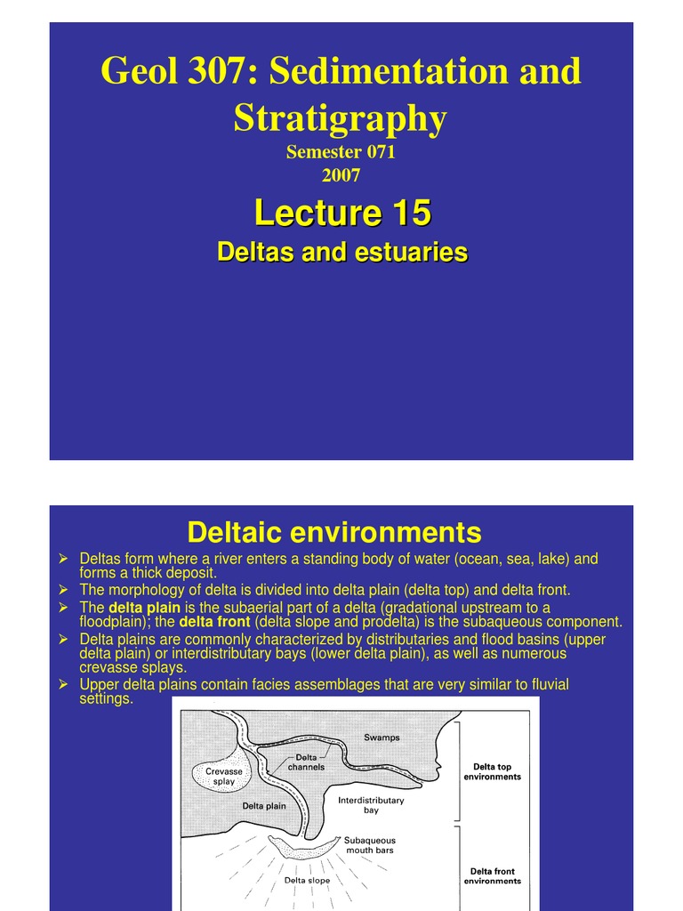 Sedimentation and Stratigraphy | PDF | River Delta | Estuary