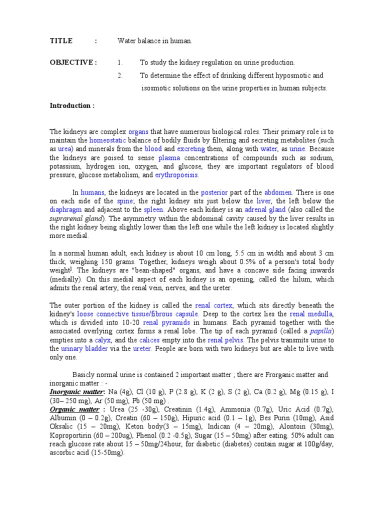 Water Balance in Human (Report) | PDF | Kidney | Animal Anatomy