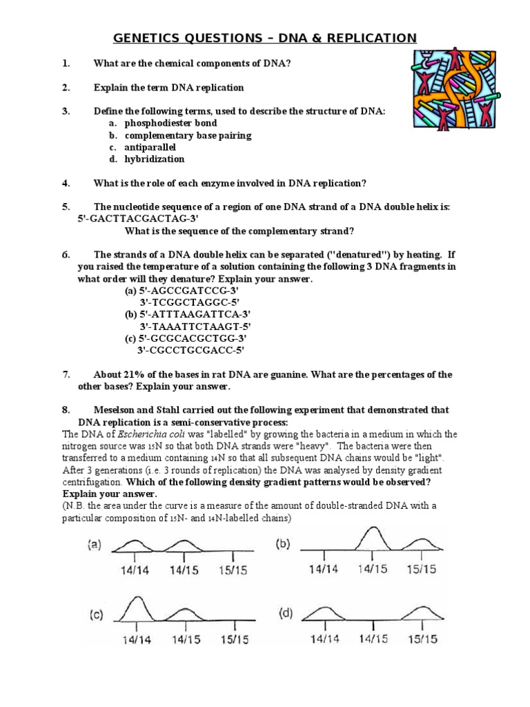 12 - DNA & Replication Questions | PDF | Directionality (Molecular ...
