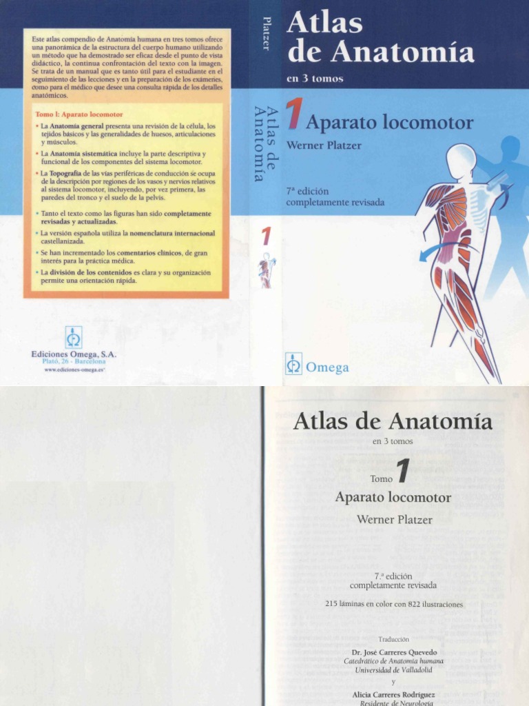 Atlas de Anatomia I Aparato Locomotor - WERNER PLATZER | PDF