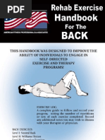 Williams Flexion Exercises | PDF