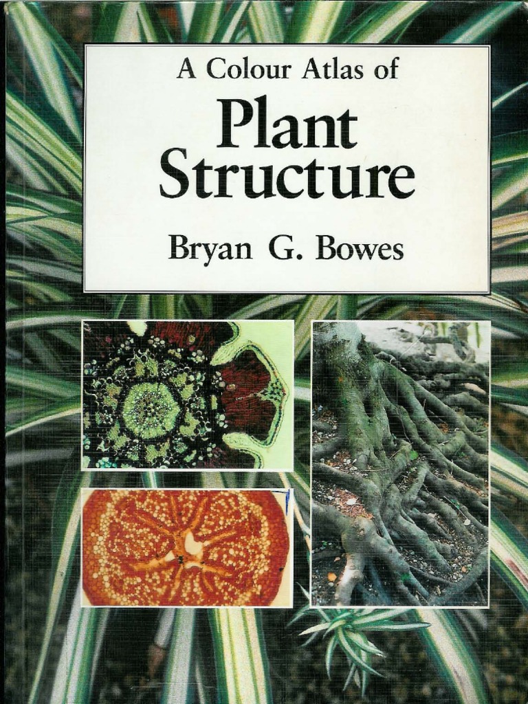 A Colour Atlas Of Plant Structure PDF