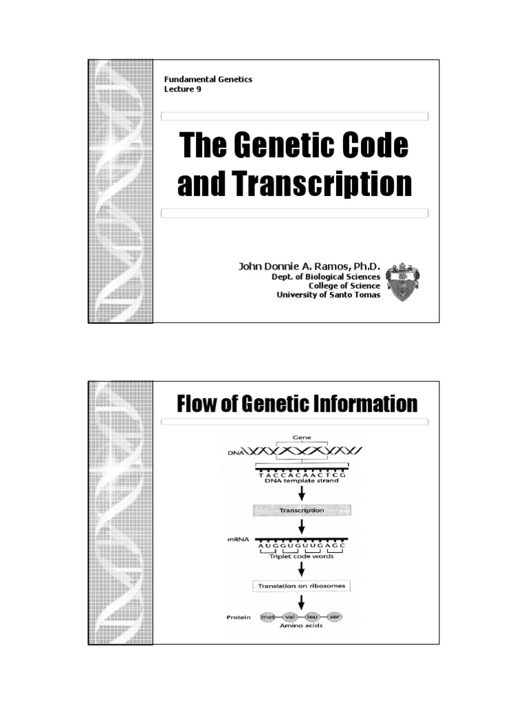 The Genetic Code and Transcription: Flow of Genetic Information | PDF ...
