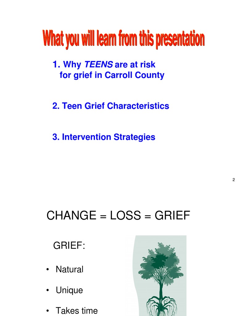 Dealing with the risks of Teen Grief | Grief | Grief Counseling