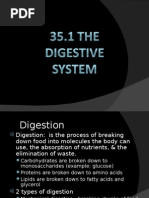 TNCC Study Guide | PDF | Major Trauma | Medicine