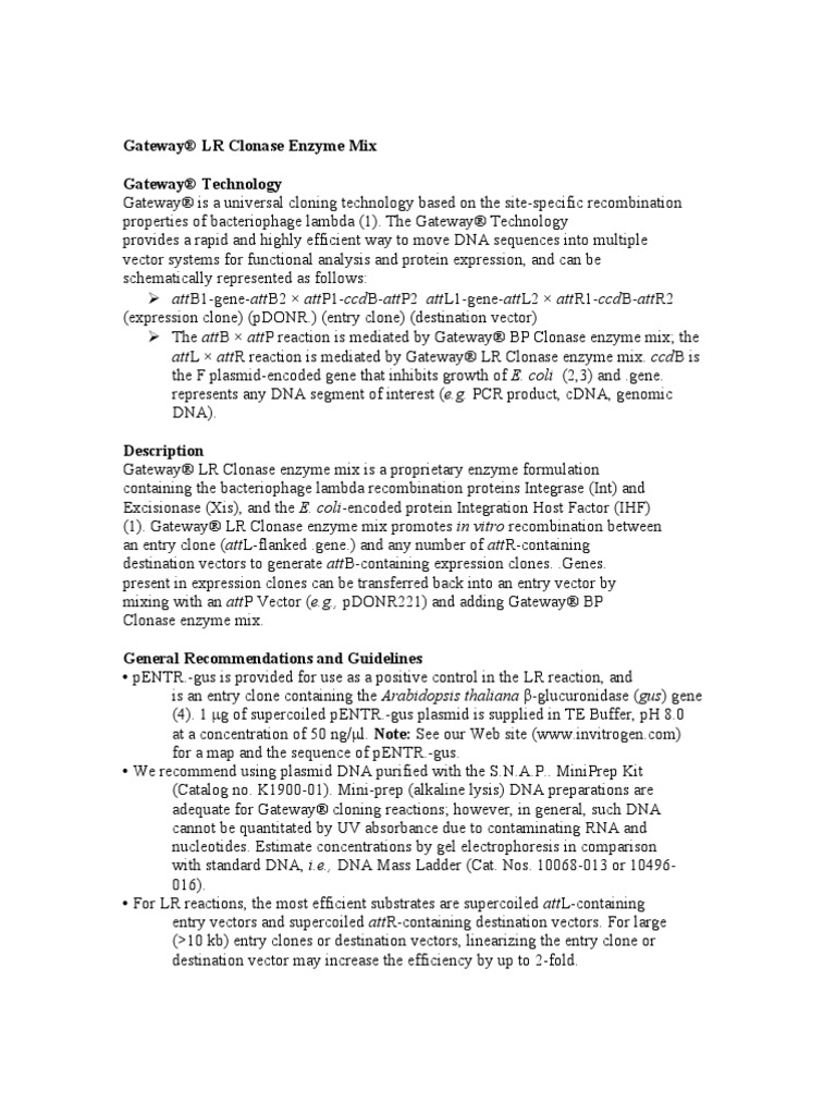 Gateway LR Clonase Enzyme Mix | PDF | Molecular Cloning | Plasmid