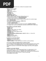 Naris Tloris Stranski Ris - VAJE | PDF