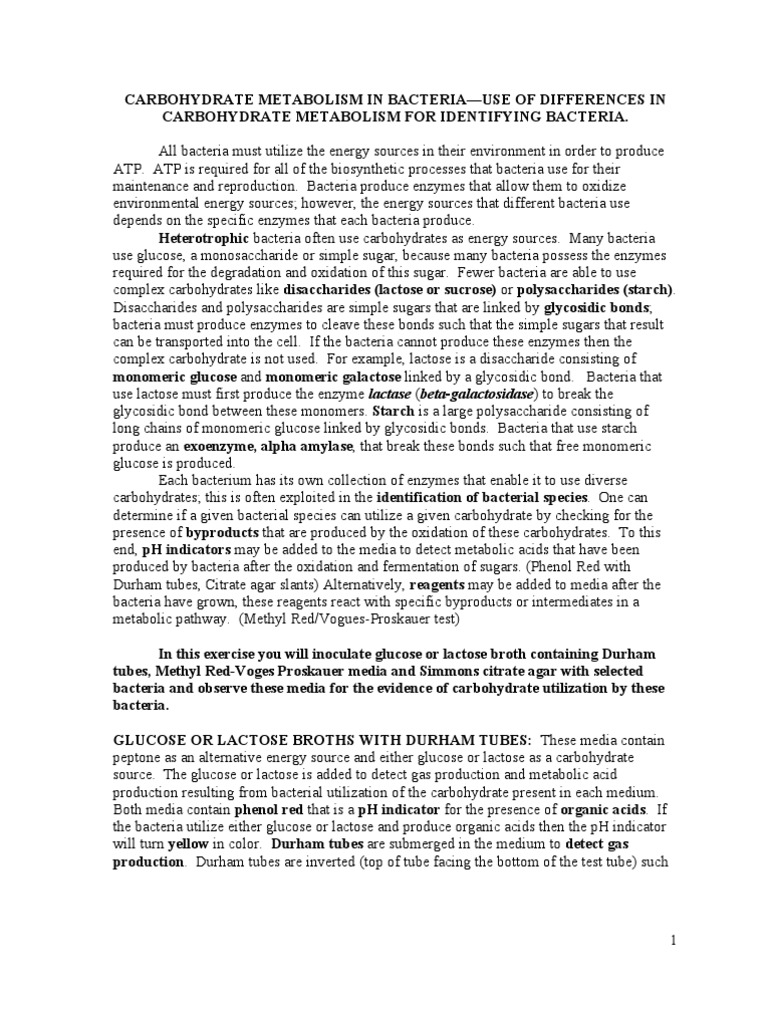 Carbohydrate Metabolism Of Bacteria Pdf Carbohydrates Polysaccharide