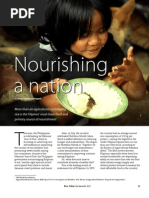 Isolated Rice Breeds 2 | PDF | International Rice Research Institute | Rice