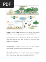 Comprensión Lectora Escolar | PDF | Desierto | Sáhara