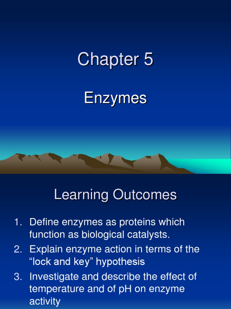 Chap. 5 Enzymes Biology O Levels | PDF | Enzyme | Active Site