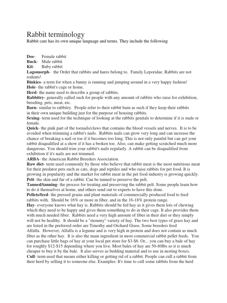 Rabbit Terminology | PDF | Hay | Rabbit