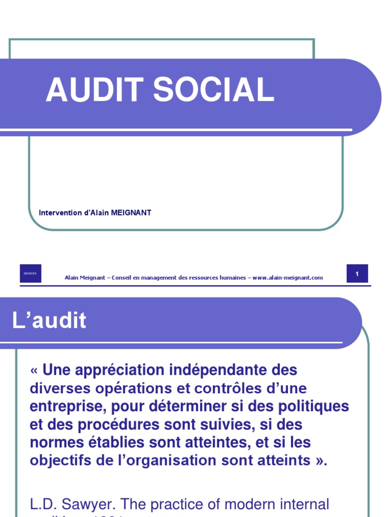 Audit Social | PDF | Audit | Ressources humaines
