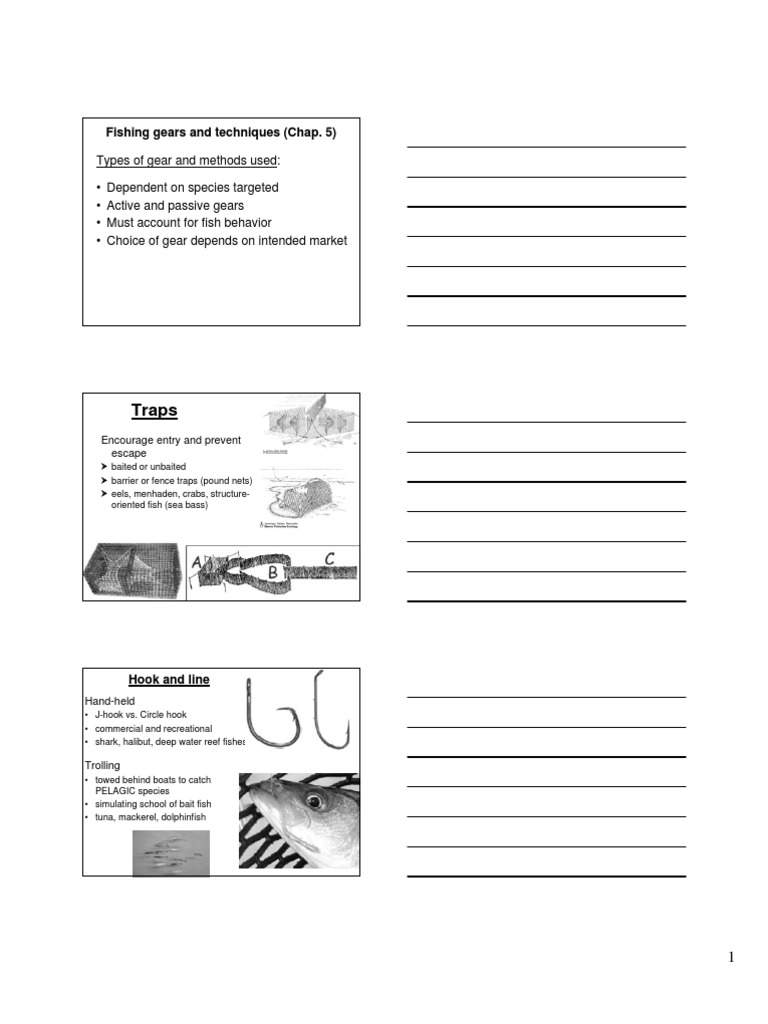 Lecture 2 - Fishing Methods and Gear PDF | PDF | Trawling | Fish And Humans