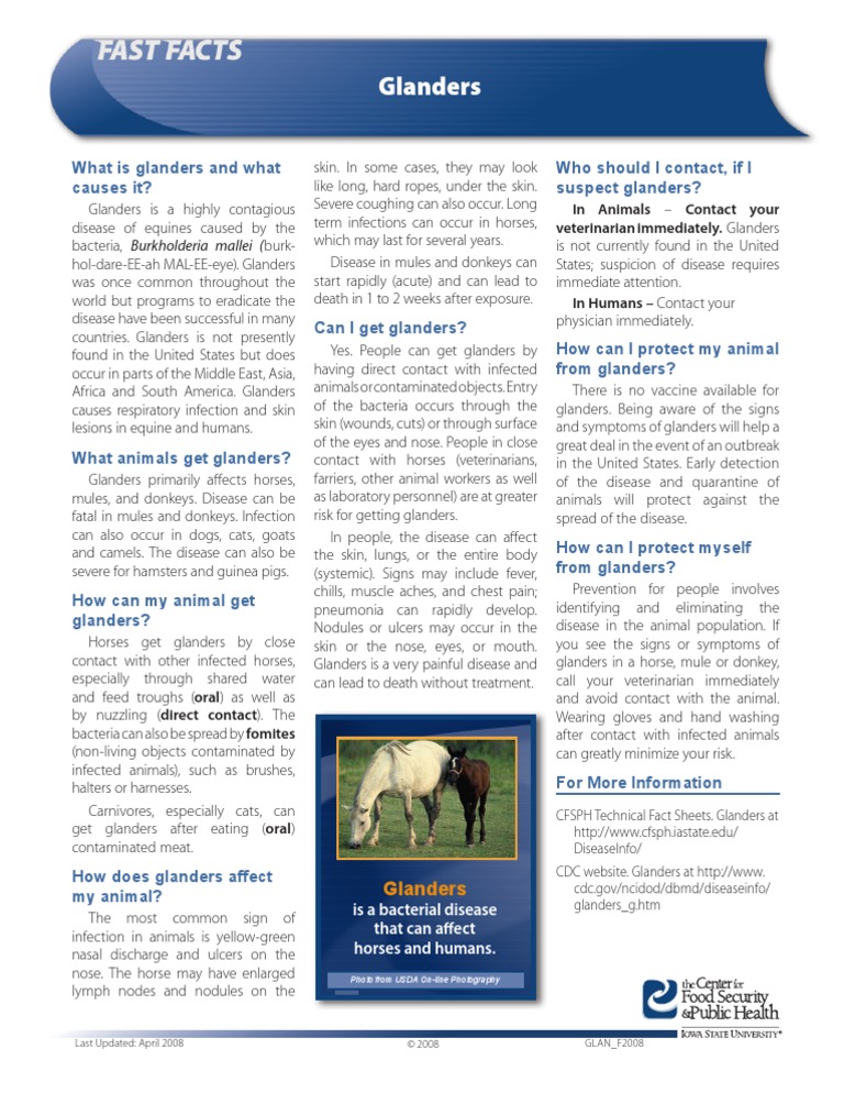 GLANDER DISEASE | Animals And Humans | Immunology