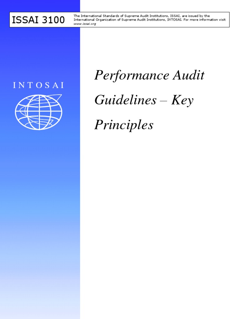 Performance Audit Guidelines - Key Principles: ISSAI 3100 | PDF