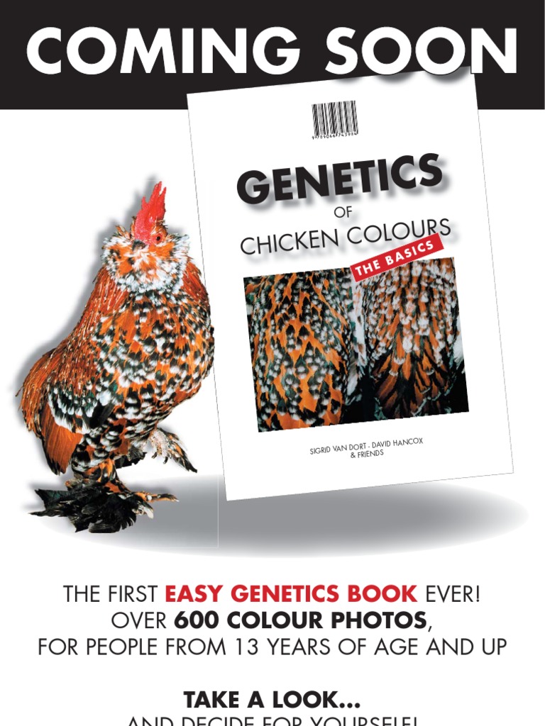 Chicken Colour Genetics Basics | PDF | Dominance (Genetics) | Chicken