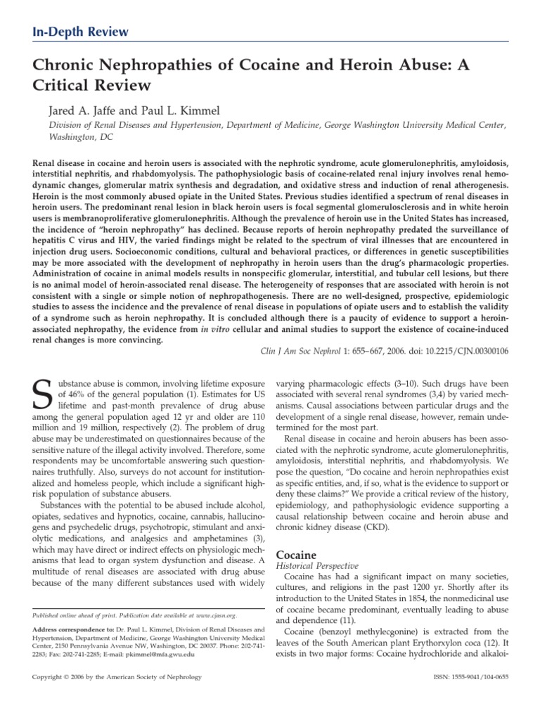 Cocaine Heroin Neph Ropa Thy | PDF | Kidney Disease | Chronic Kidney ...