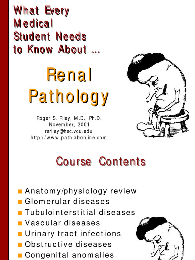 Renal Pathology | PDF | Kidney | Internal Medicine