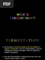 Comparative Study of The Rate of Fermentation of Various Food Materials ...