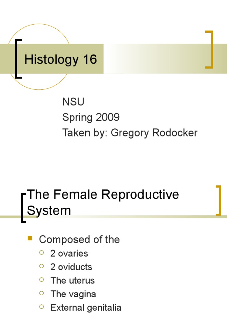 Female Reproductive System | PDF | Ovary | Women's Health
