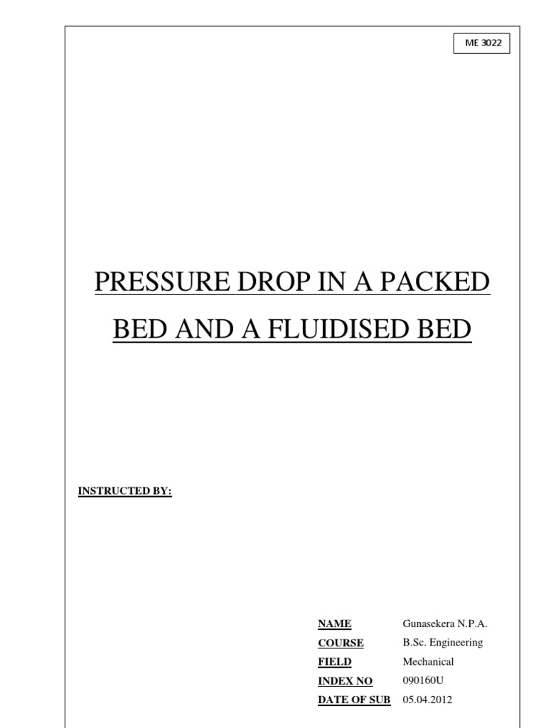 Fluidize Bed | PDF | Fluidization | Chemical Engineering