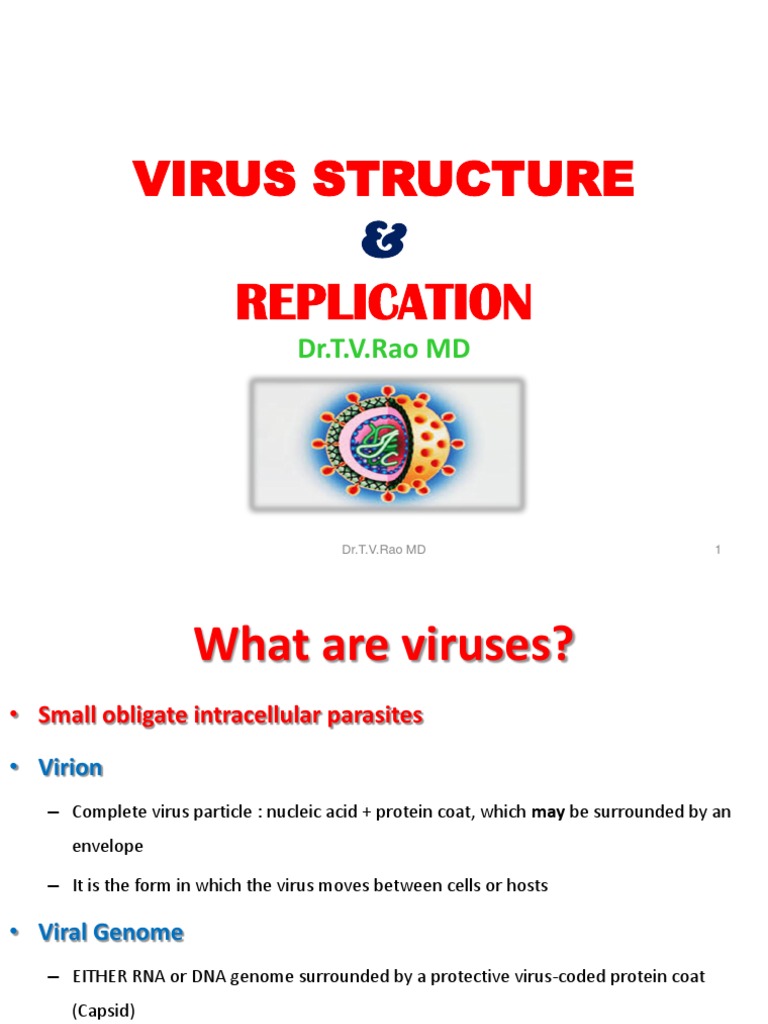 Virus Structure and Replication Overview | PDF | Virus | Retrovirus