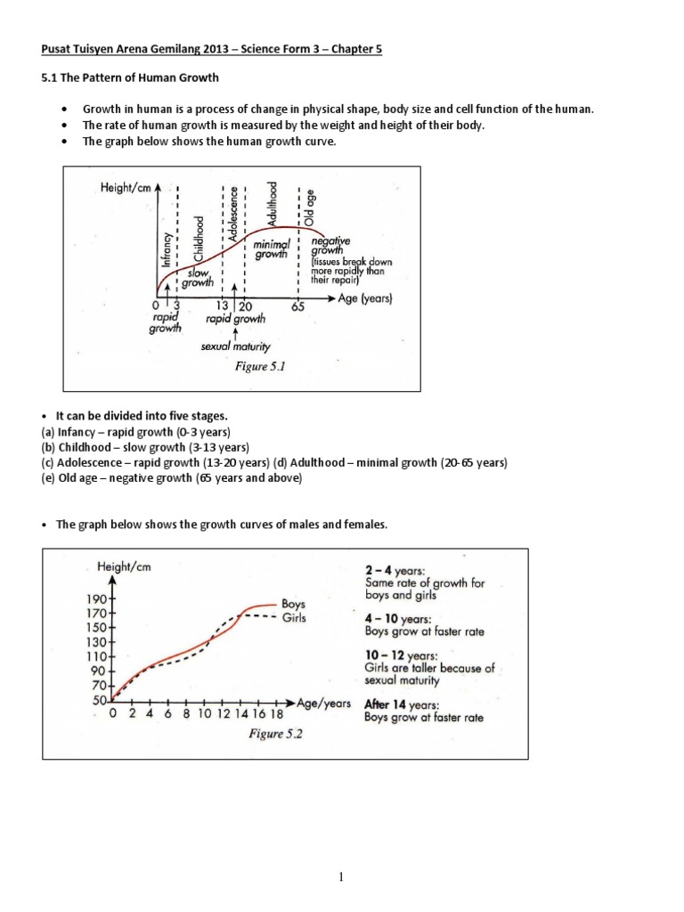 Science Form 3 Chapter 5 Notes | PDF | Vitamin D | Nutrients