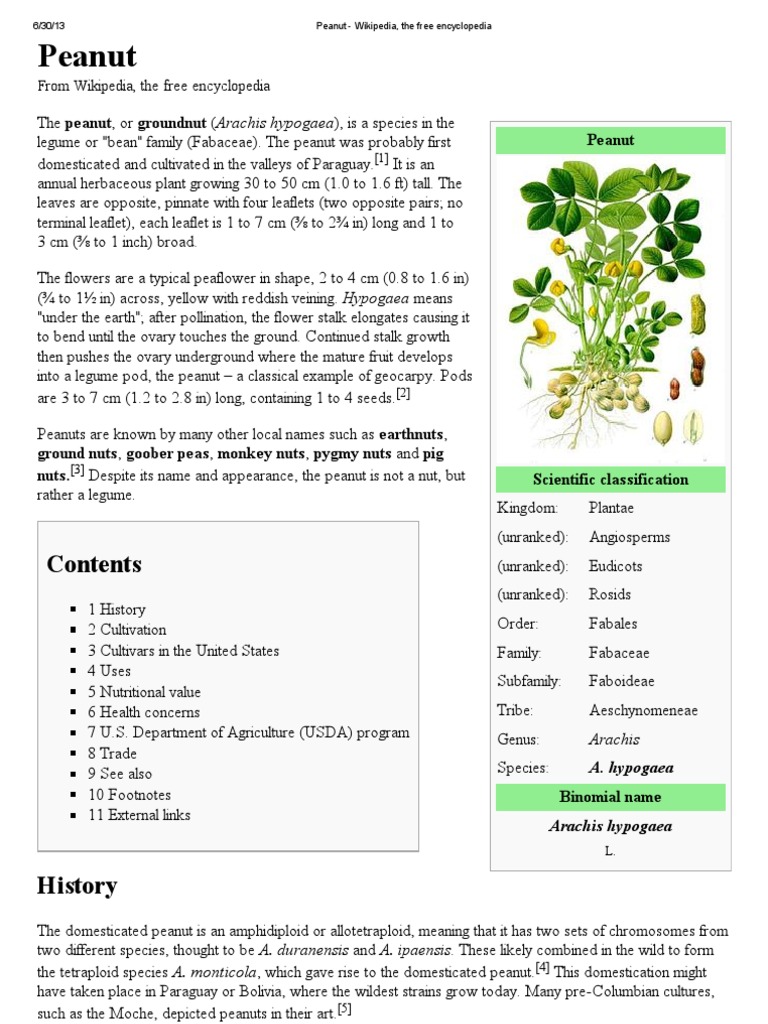 Peanut - Wikipedia, The Free Encyclopedia | PDF | Peanuts | Allergy