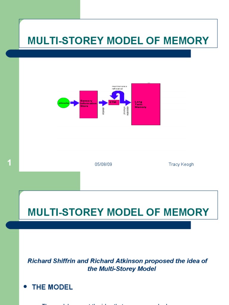 Memory Model Presentation | PDF | Memory | Clinical Psychology