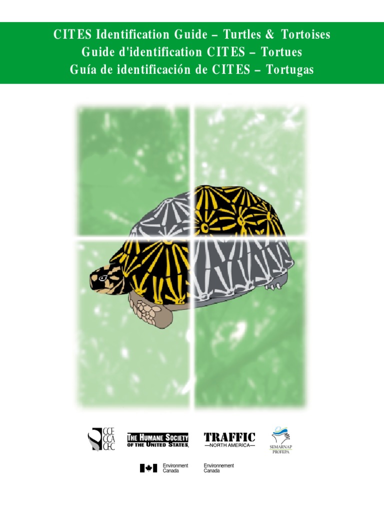 Can-Cites Turtle Guide | PDF | Cites | Turtle