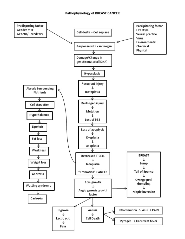 Pathophysiology of BREAST CANCER | PDF | Wellness
