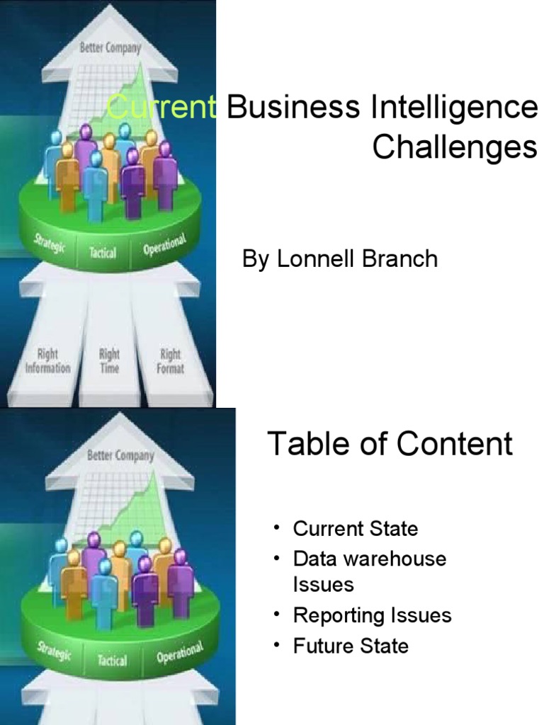 Business Intelligence Challenges 2009 | PDF | Business Intelligence ...