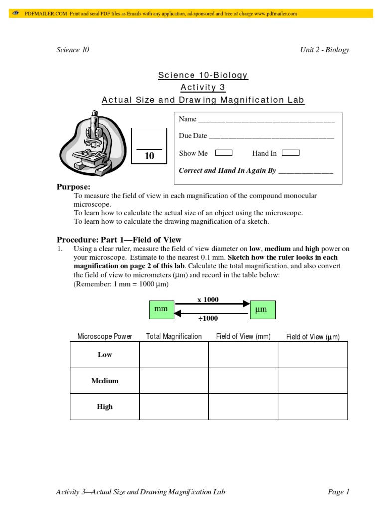 Microscope Field of View Lab Guide | PDF | Field Of View | Microscope