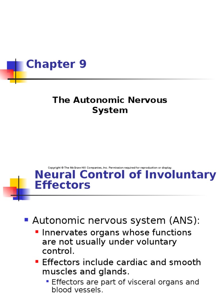 The Autonomic Nervous System | PDF | Autonomic Nervous System ...