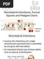 Pigeon Genetics: Answer Key | PDF | Dominance (Genetics) | Genotype