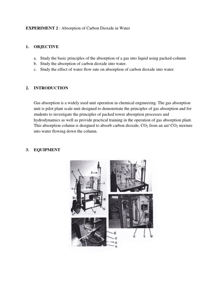 EXPERIMENT 2: Absorption of Carbon Dioxide in Water | PDF | Carbon ...