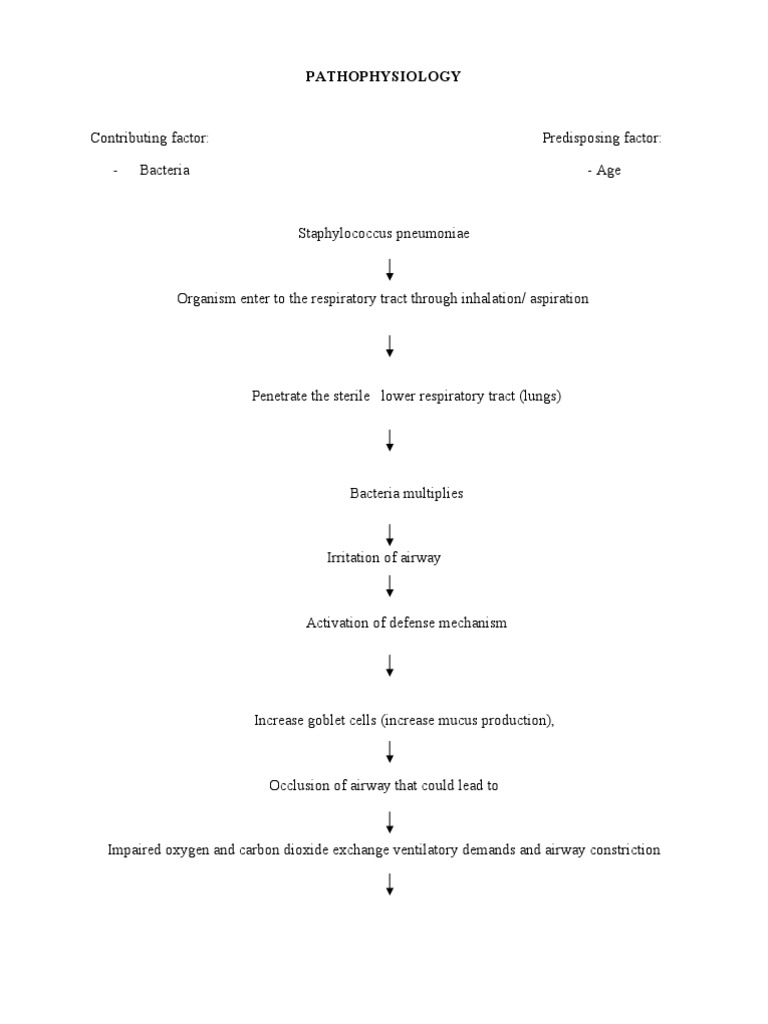Bronchopneumonia Pathophysiology