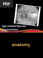 Tangent Screen Visual Field Testing | PDF | Retina | Color