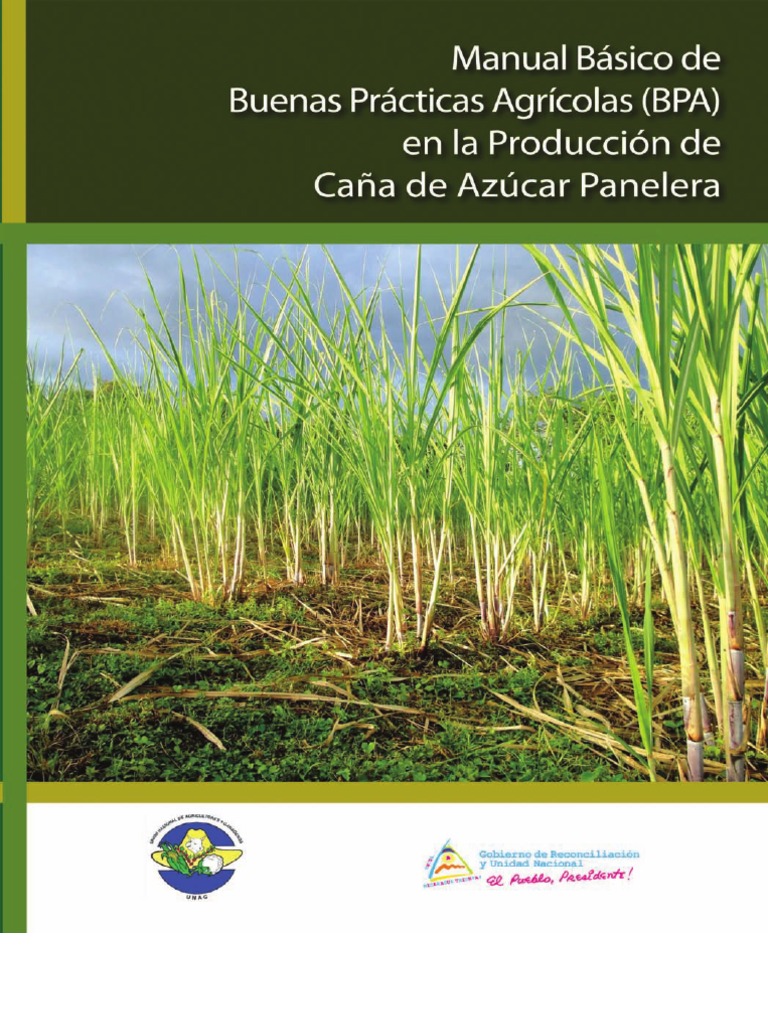 Manual De Buenas Prácticas Agrícolas